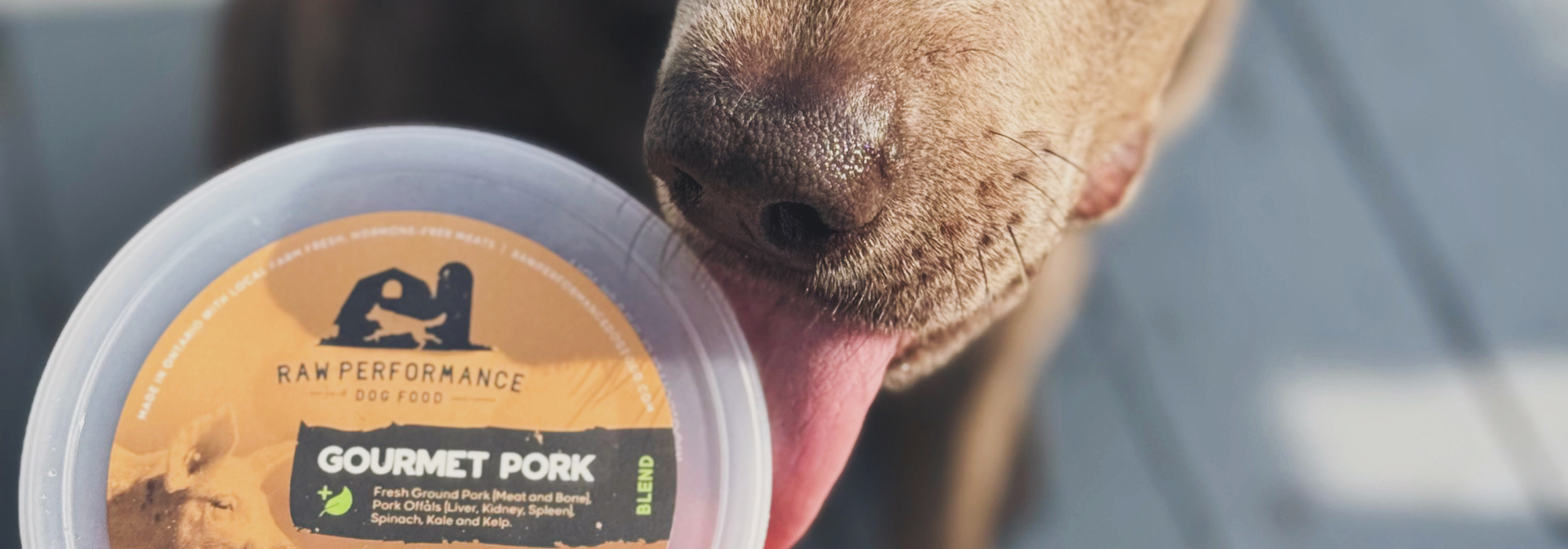 Best Proteins for Raw Dog Food: Weight Gain, Weight Loss & Yeast ...