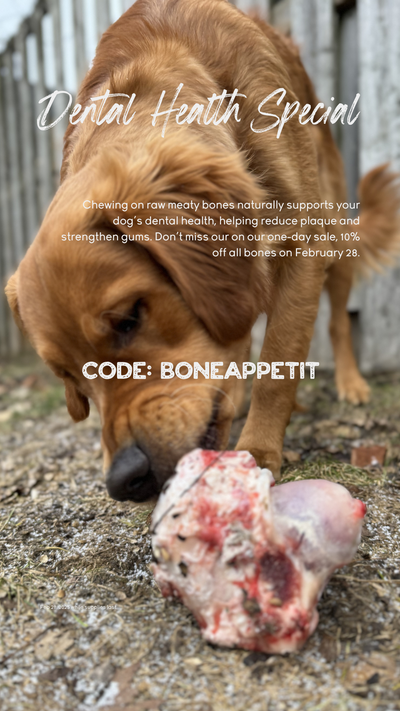 Raw Performance Dog Food | Fresh Raw Dog Food Delivery | Ontario