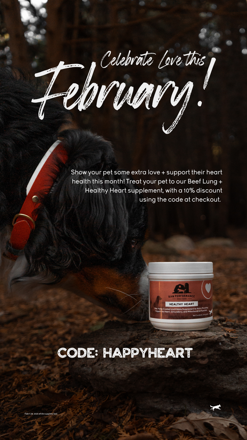 Raw Performance Dog Food | Fresh Raw Dog Food Delivery | Ontario