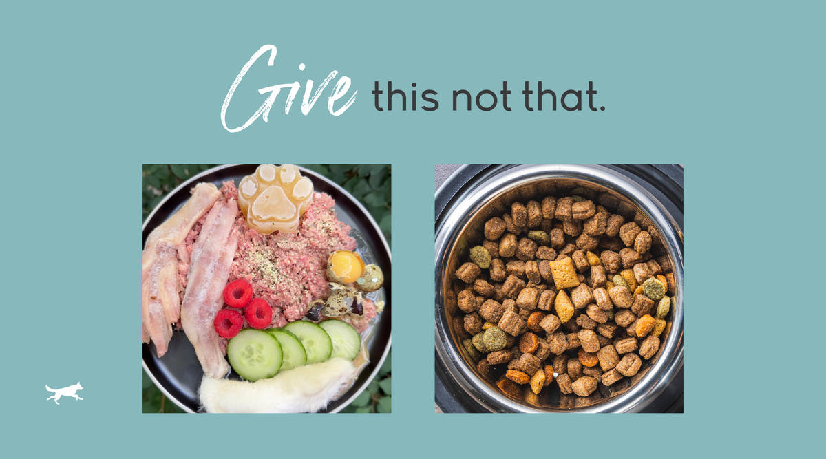 Raw Performance Dog Food | Fresh Raw Dog Food Delivery | Ontario