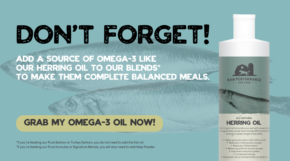 Raw Performance Dog Food | Fresh Raw Dog Food Delivery | Ontario