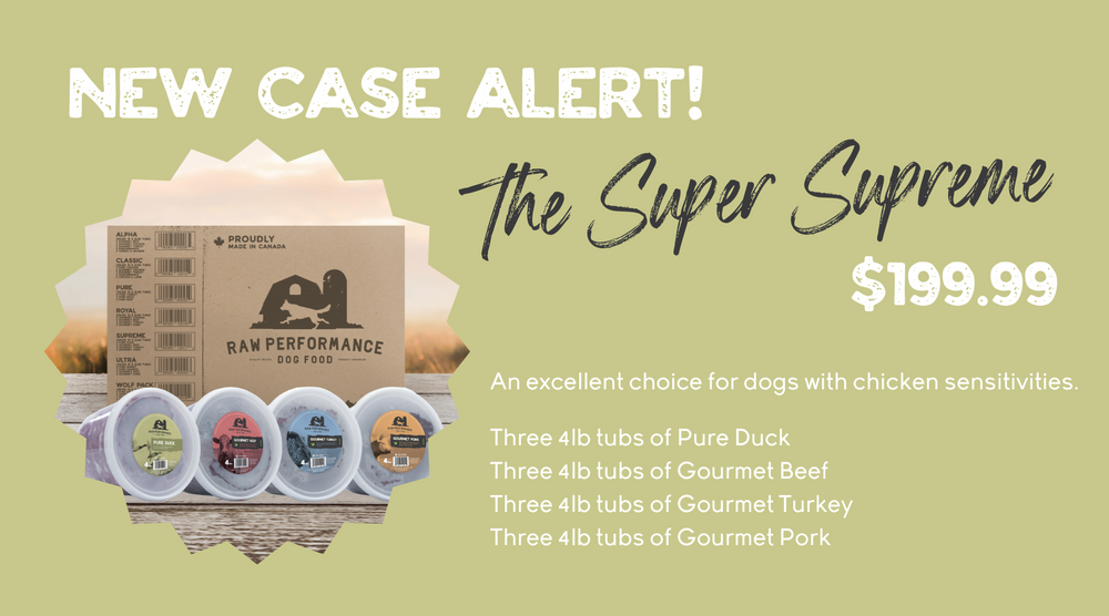 Raw Performance Dog Food | Fresh Raw Dog Food Delivery | Ontario