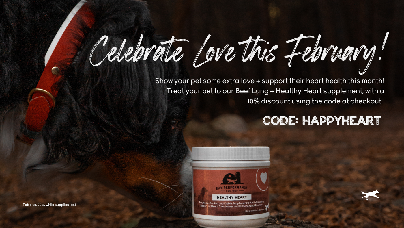 Raw Performance Dog Food | Fresh Raw Dog Food Delivery | Ontario