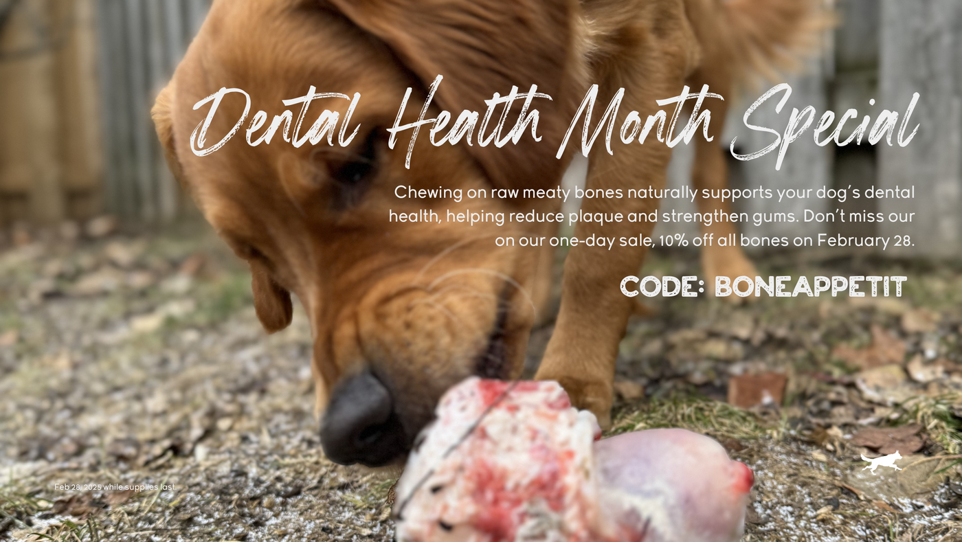 Raw Performance Dog Food | Fresh Raw Dog Food Delivery | Ontario