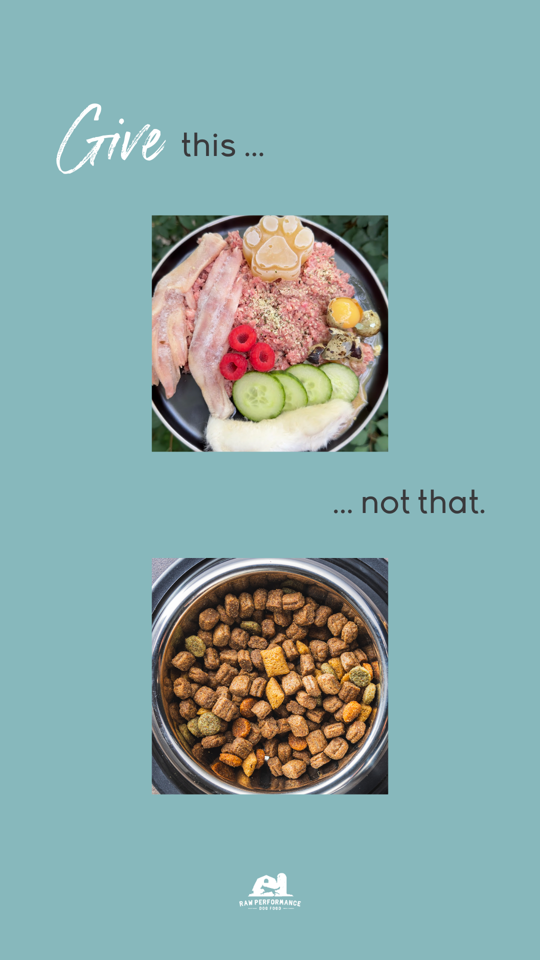 Raw Performance Dog Food | Fresh Raw Dog Food Delivery | Ontario