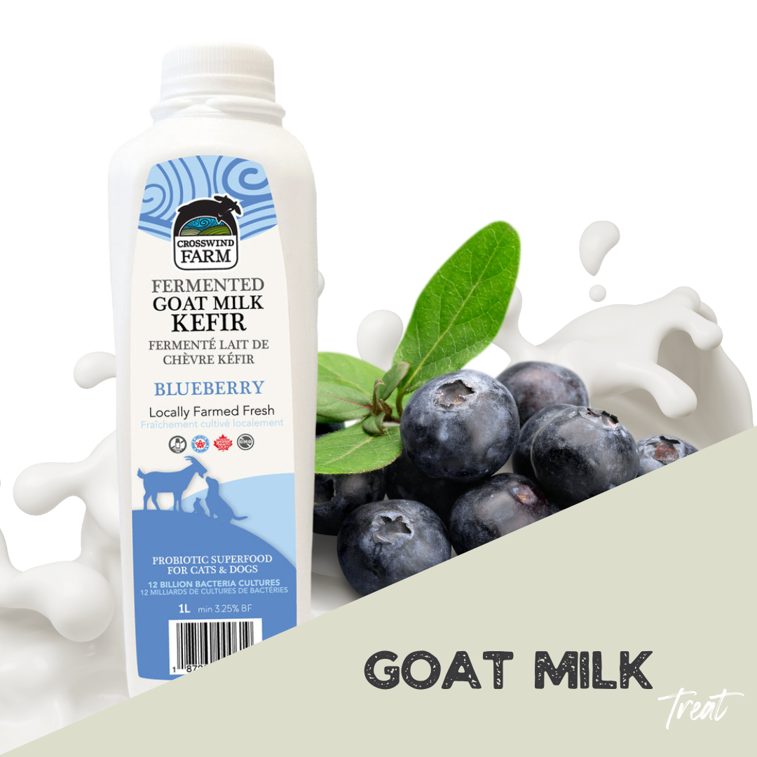 Crosswind Farms Kefir with Blueberries - Raw Performance Dog Food