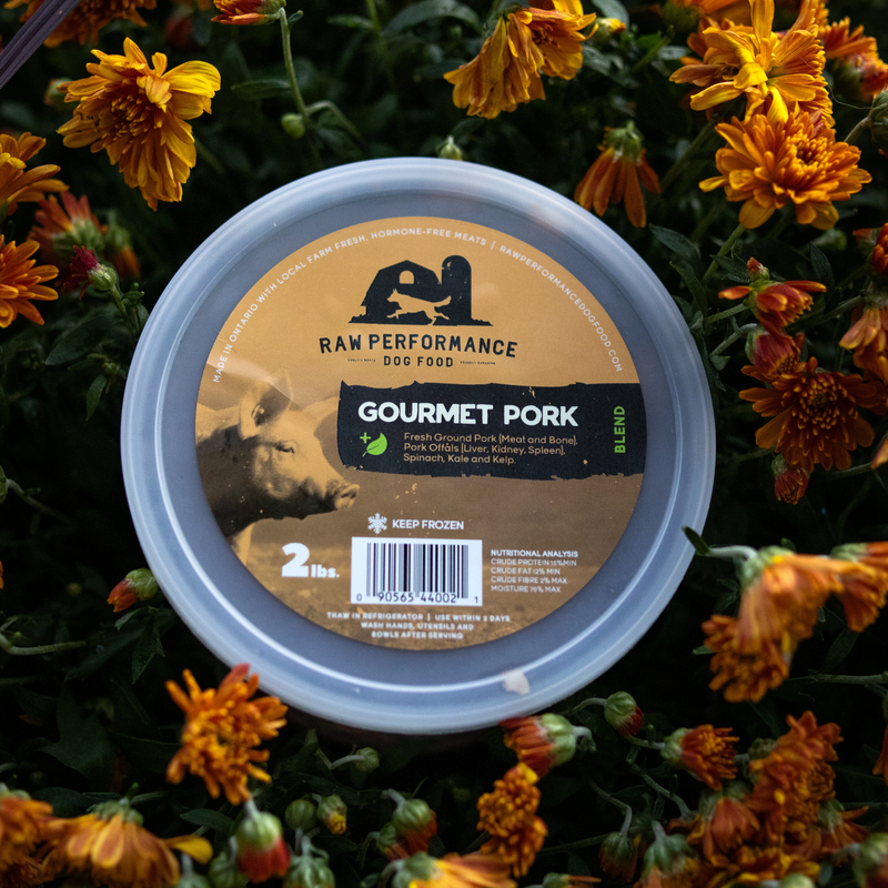 Gourmet Blends - Raw Performance Dog Food