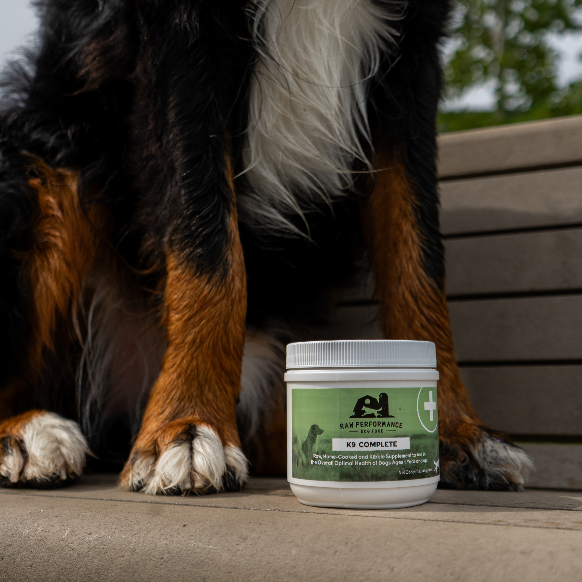 Raw Performance Dog Food | Fresh Raw Dog Food Delivery | Ontario