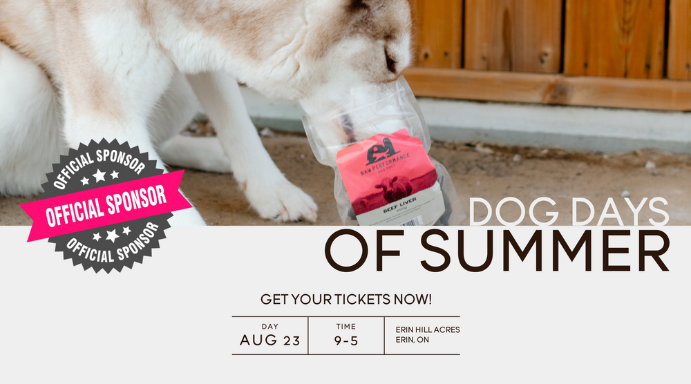 Raw Performance Dog Food | Fresh Raw Dog Food Delivery | Ontario