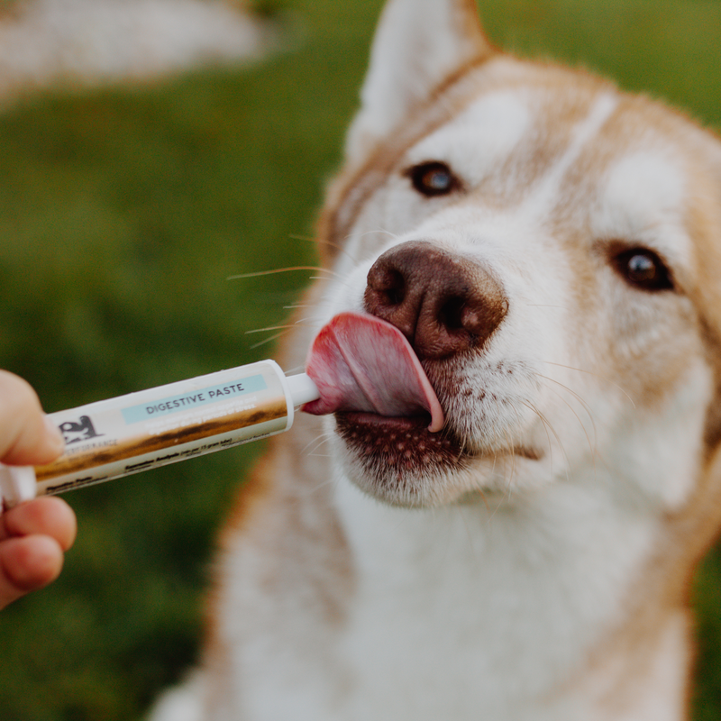 Current Retailers | Raw Performance Dog Food