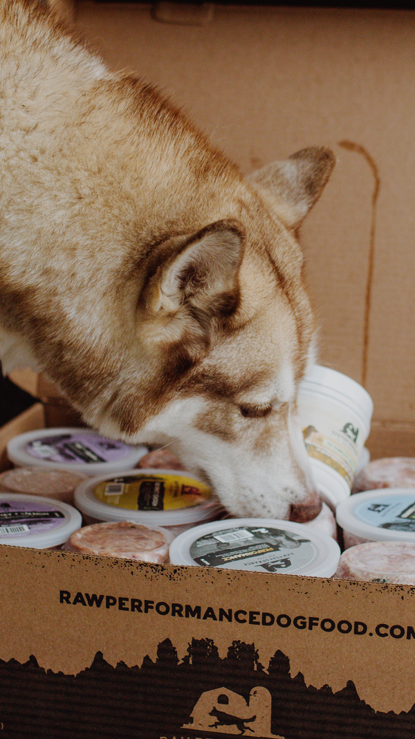 Raw Performance Dog Food | Fresh Raw Dog Food Delivery | Ontario